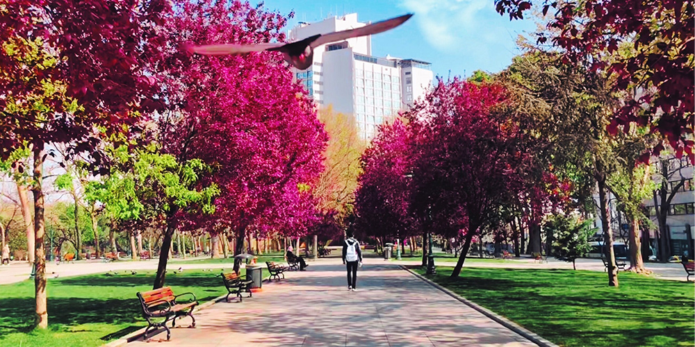 Welcome May - Low Two Pair